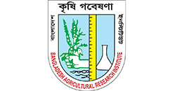 LUXURY – Ruza Electric Co. Ltd